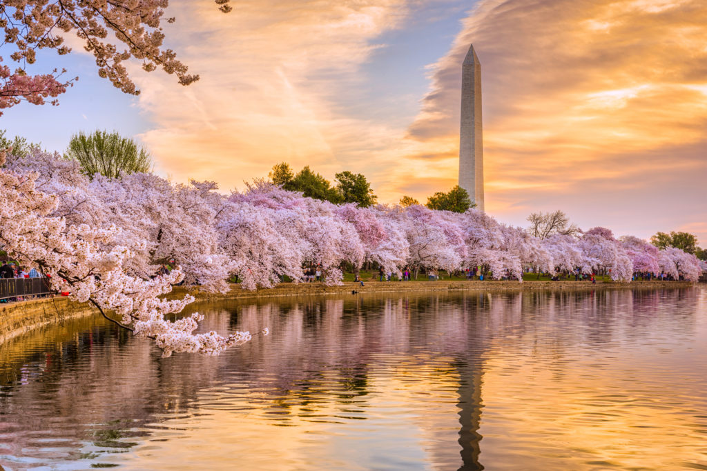 9 Things To Do In Woodbridge, VA