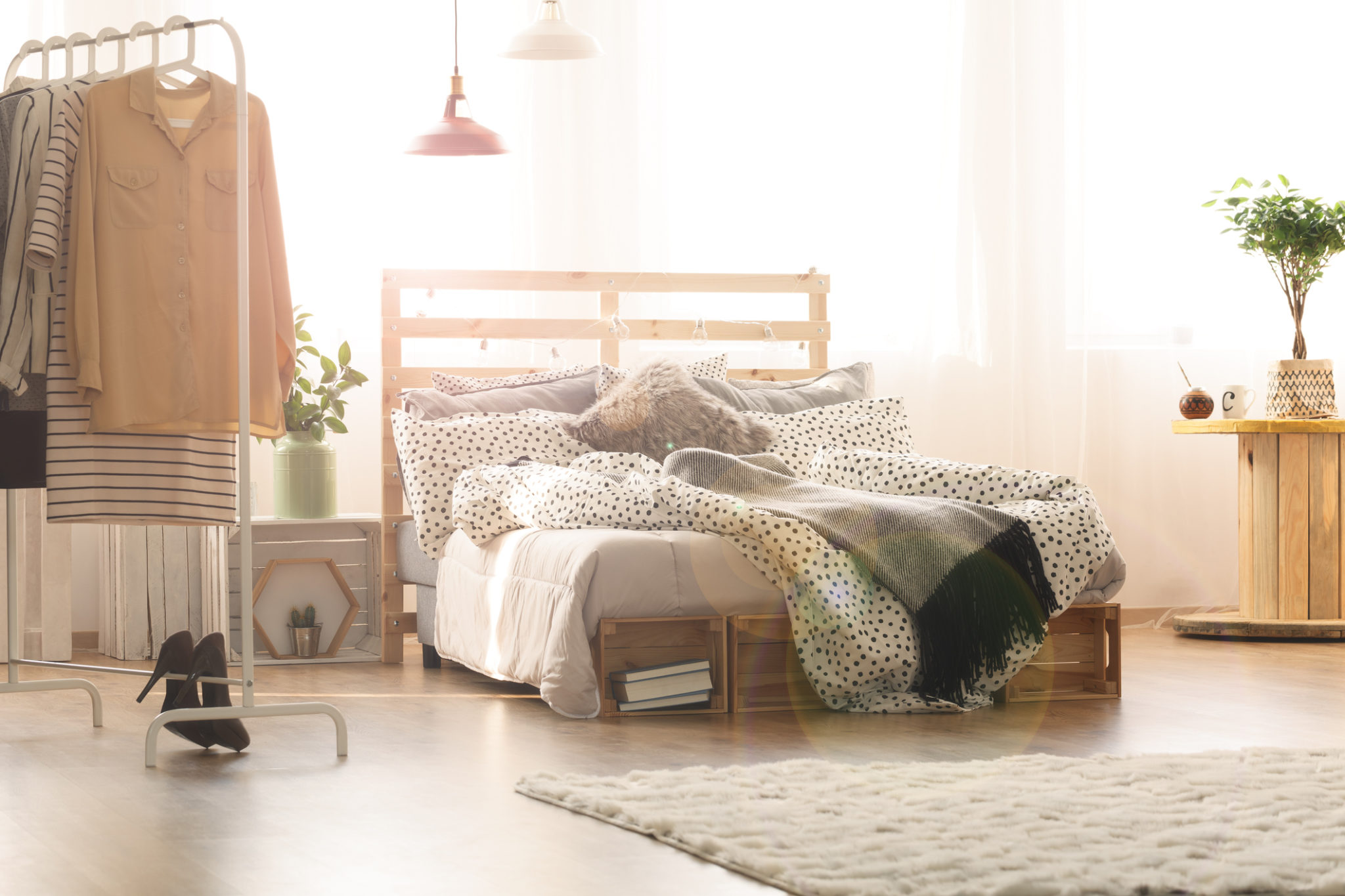 The Community Scoop | Apartment Blog | Southern Management