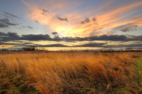 9 Things To Do In Woodbridge, VA